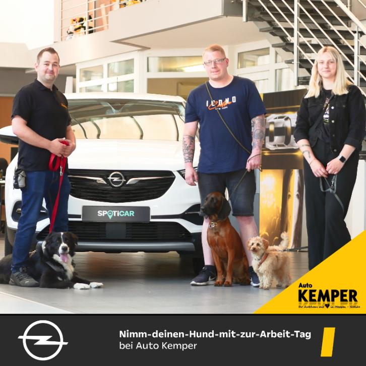 Auto Kemper - Ihr Autohaus mit ♥ in Meppen-Nödike - Auto Kemper