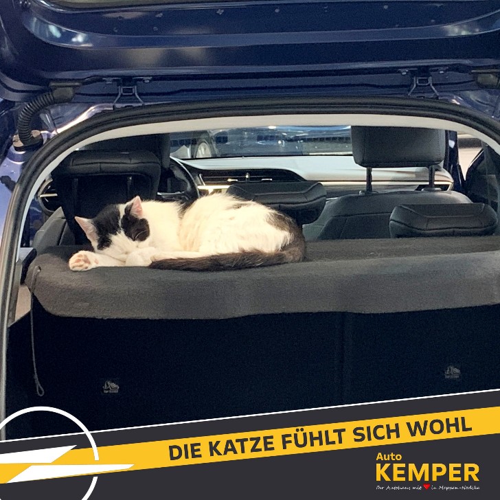 Auto Kemper - Ihr Autohaus mit ♥ in Meppen-Nödike - Auto Kemper